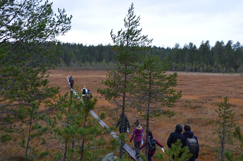 2022 Congress of the International Research Network on Cold Forests