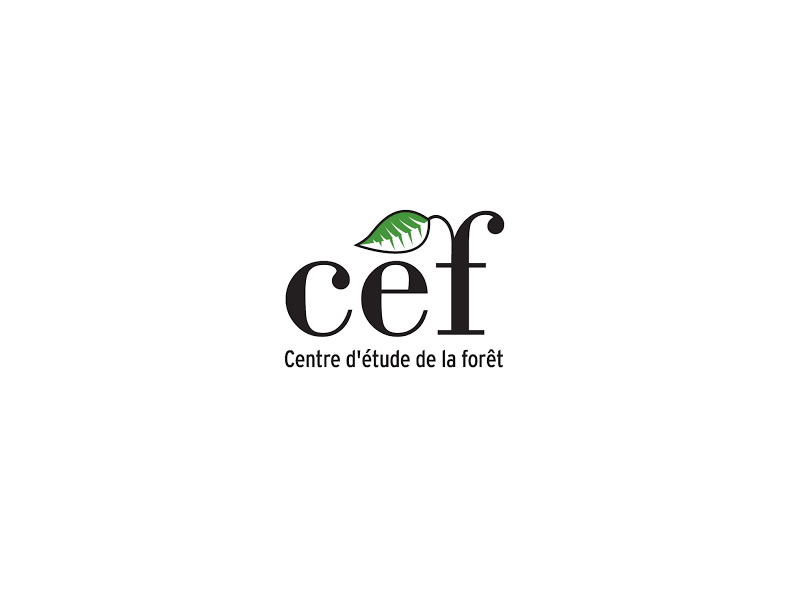 Programme de Chercheuses et Chercheurs invité.e.s au CEF
